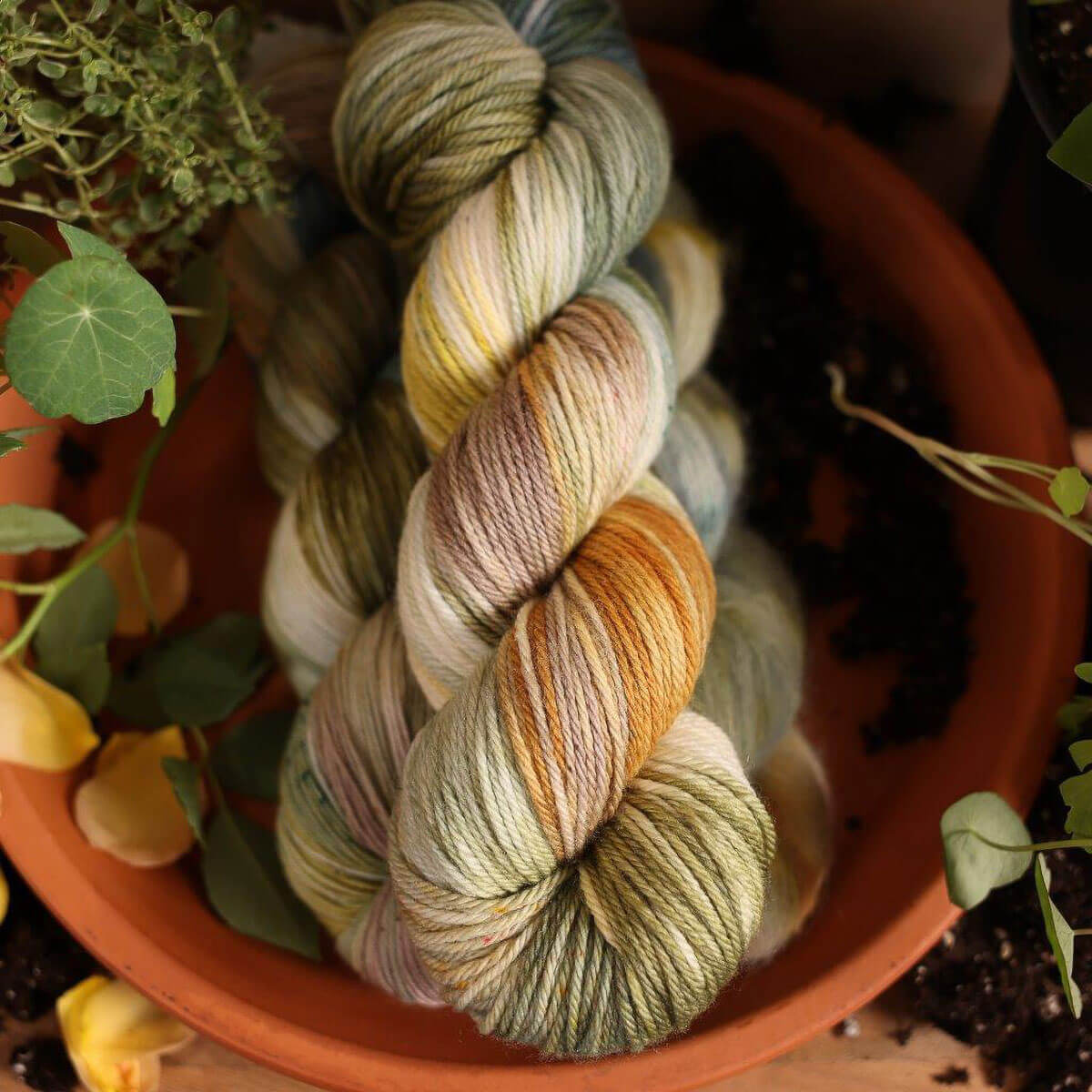 Bad Sheep Yarn - DK (Botanist) – Woolly Buffalo Yarn Co