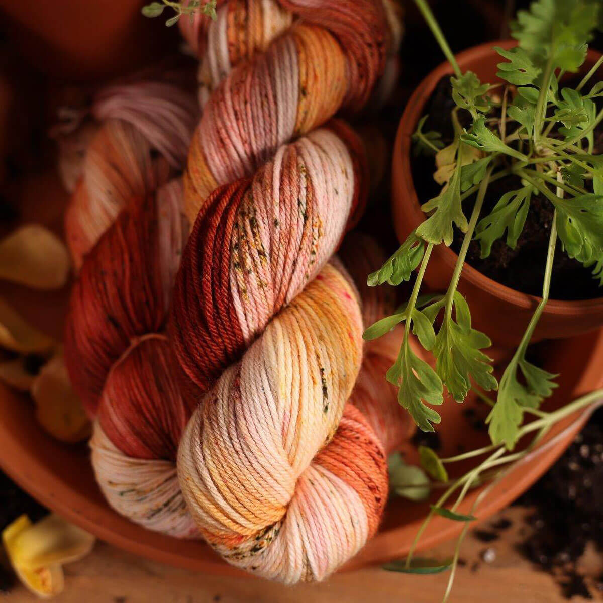 Bad Sheep Yarn - DK (Terracotta) – Woolly Buffalo Yarn Co
