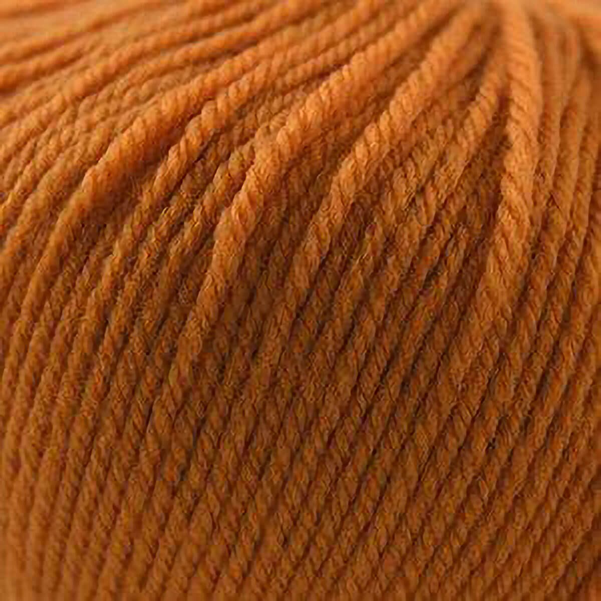 Cascade Yarns - 220 Superwash (253 Desert Sun) – Woolly Buffalo Yarn Co