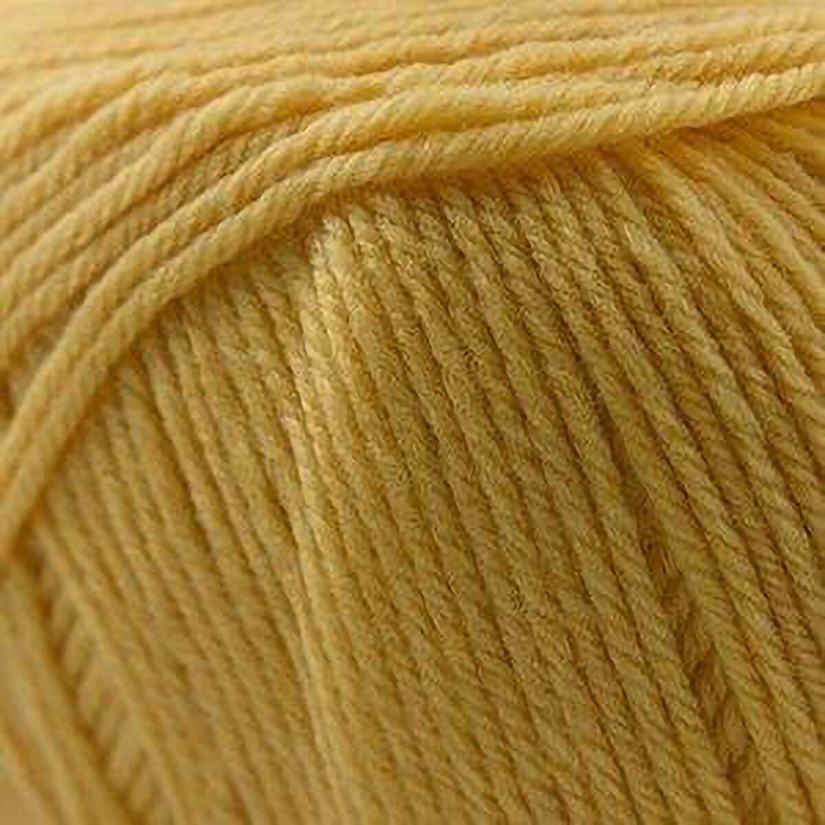 Cascade Yarns - 220 Superwash (821 Daffodil) – Woolly Buffalo Yarn Co