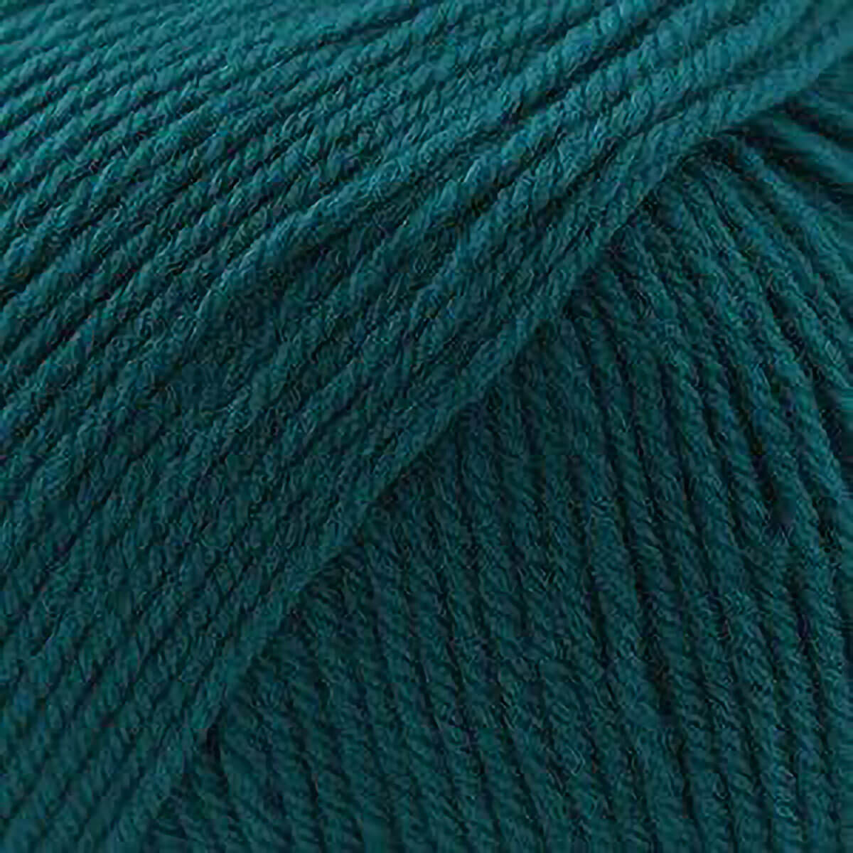 Cascade Yarns - 220 Superwash (890 Emerald City) – Woolly Buffalo Yarn Co