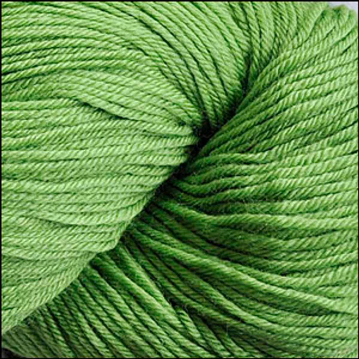 Cascade Yarns - Heritage (5659 Primavera) – Woolly Buffalo Yarn Co